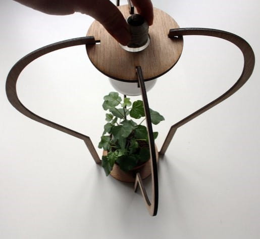 Laser Cut Plant Holder Ceiling Light CDR File Free Download | Vecty